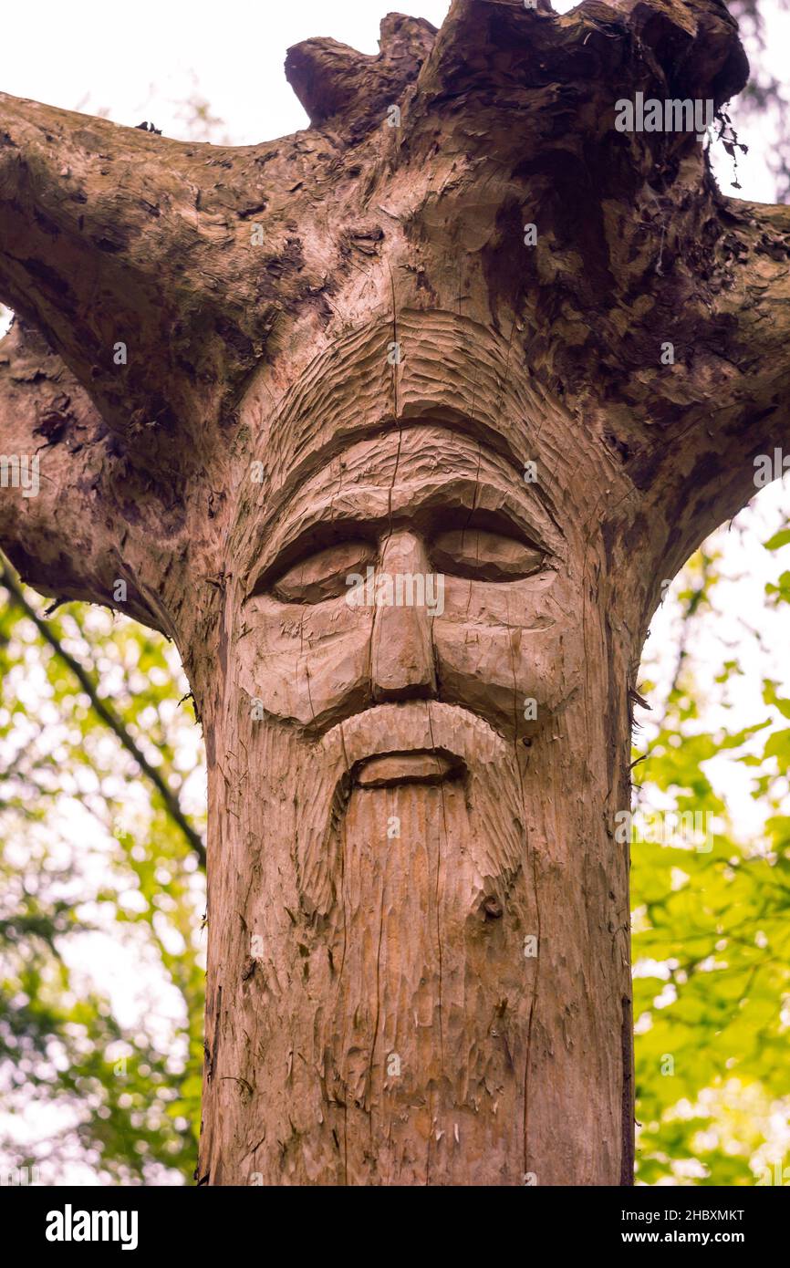 The image of the Slavic deity Veles carved from root of a tree on a neo ...