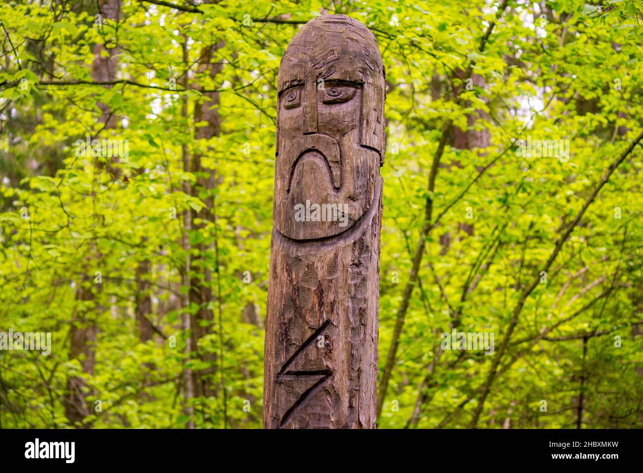 The image of the Slavic deity Veles carved from a tree trunk on a neo ...
