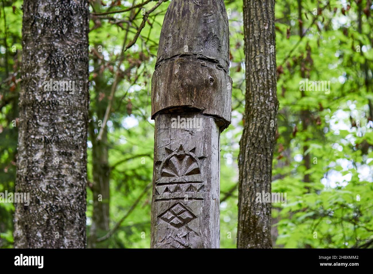 Sculpted trunk hi-res stock photography and images - Alamy