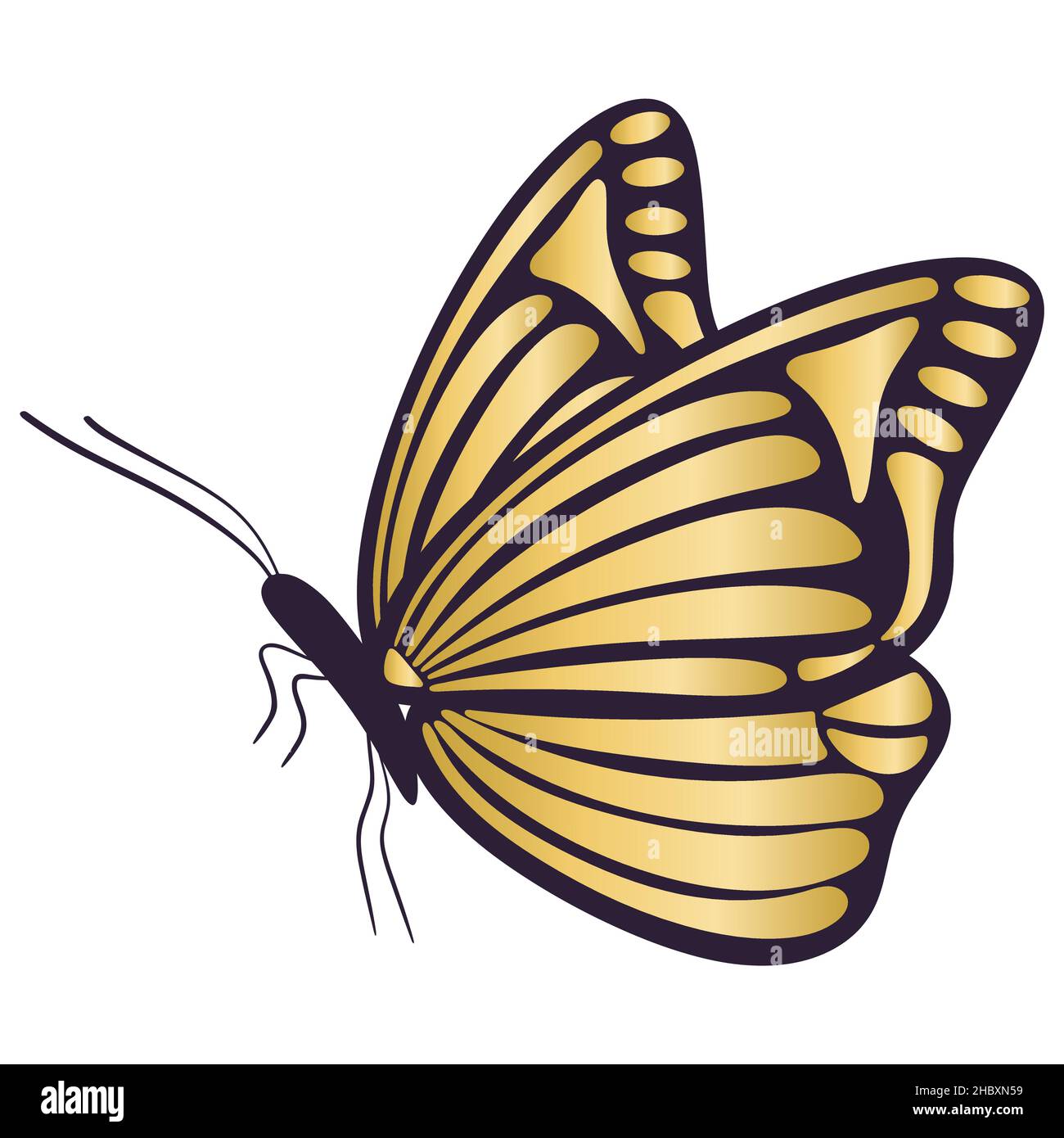 Golden beautiful butterfly in profile isolated vector illustration ...