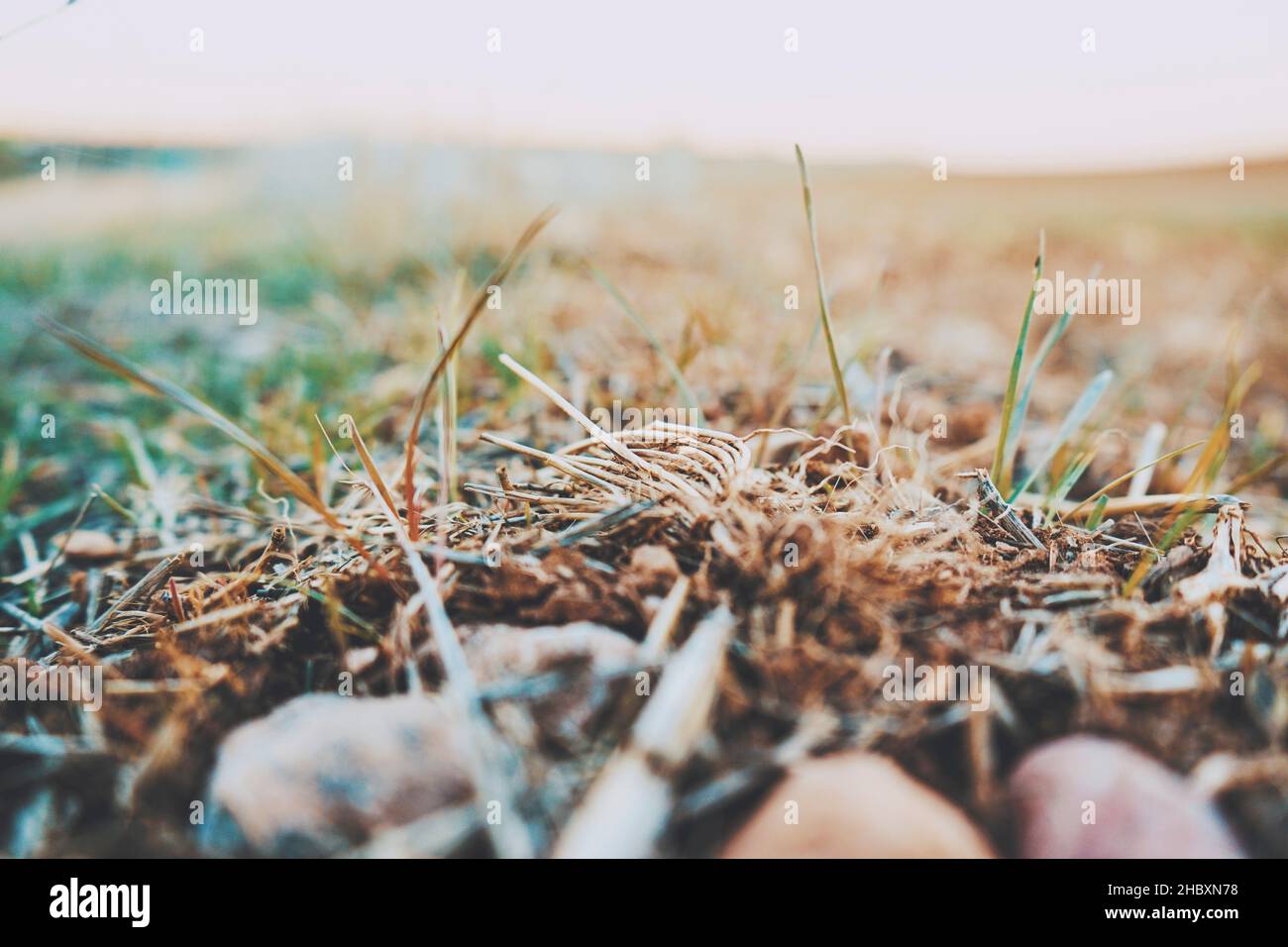 Abandoned agriculture land near a storage building Stock Photo - Alamy