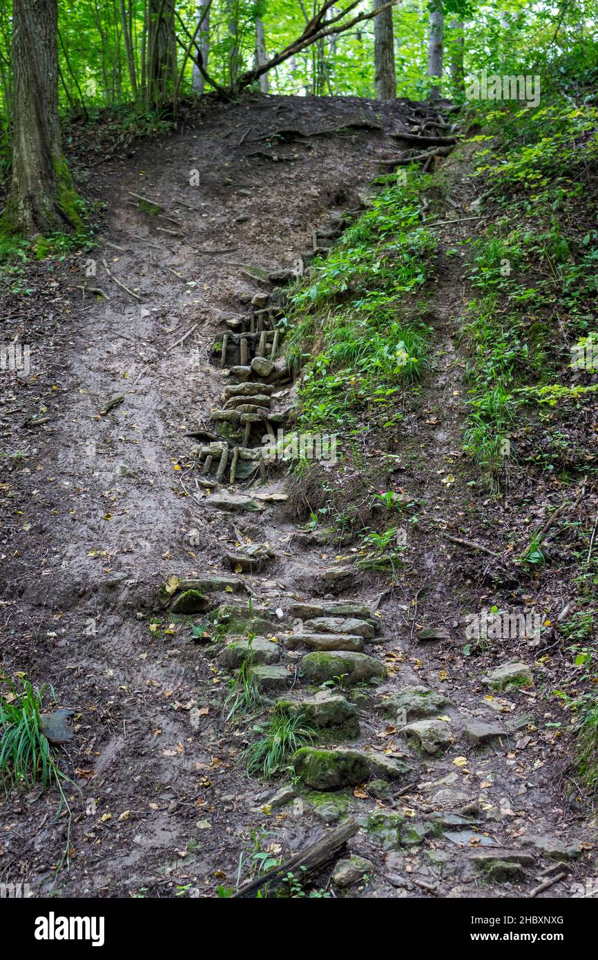 Equipped descent on a steep slope, stairs made of stones and sticks ...