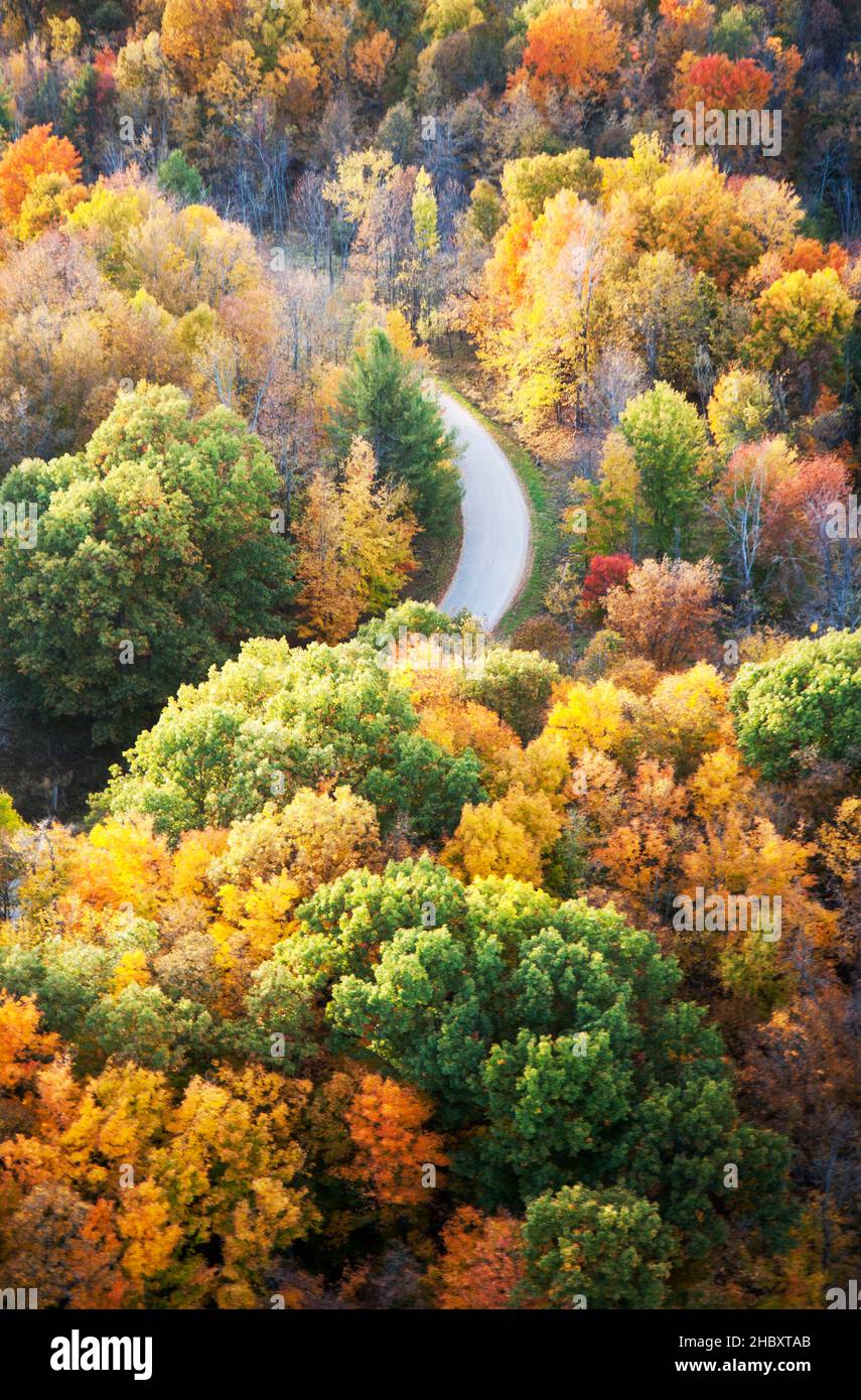 Road running through autumn forest seen from above Stock Photo - Alamy