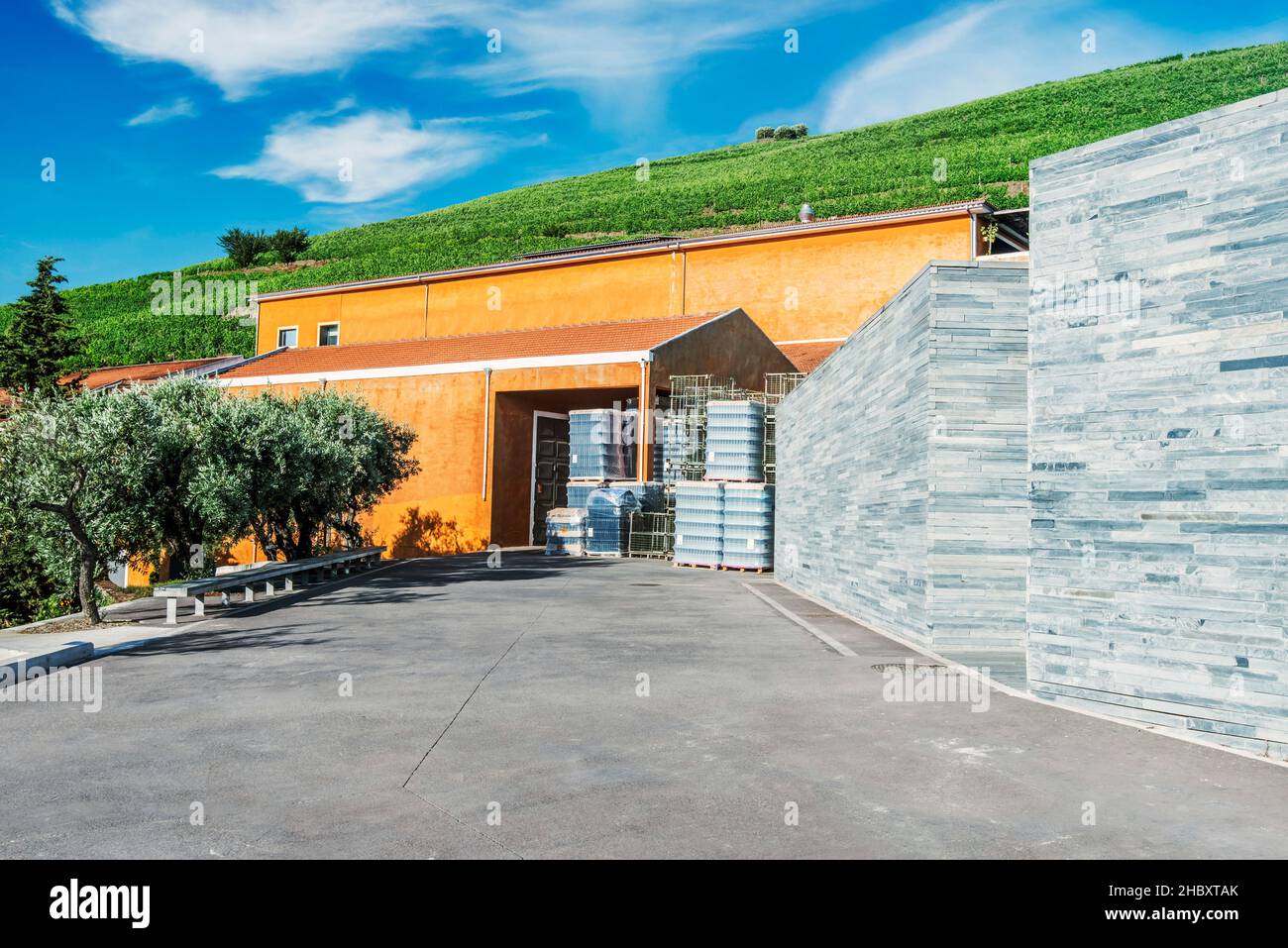 Vineyard and winery buildings in the Douro Valley Stock Photo - Alamy