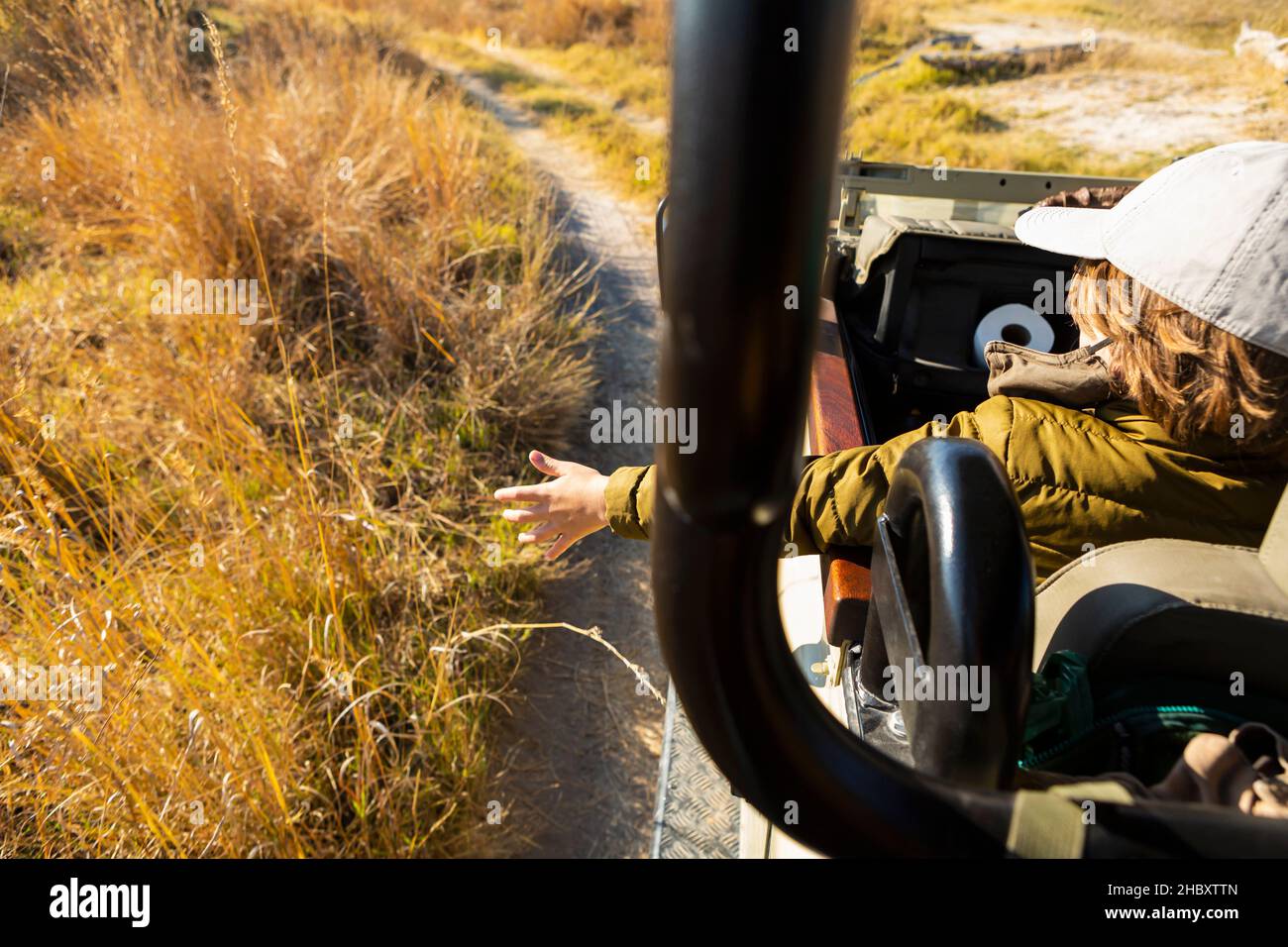 Scene from a safari hi-res stock photography and images - Alamy