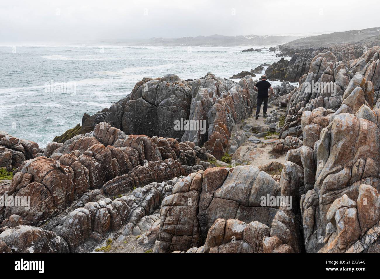 Man walking on the jagged rocks and the rocky coastline of the Atlantic ...