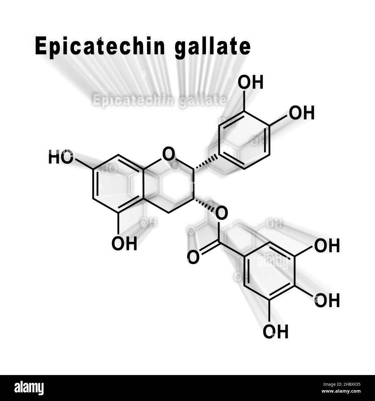 Gallate Black and White Stock Photos & Images - Alamy