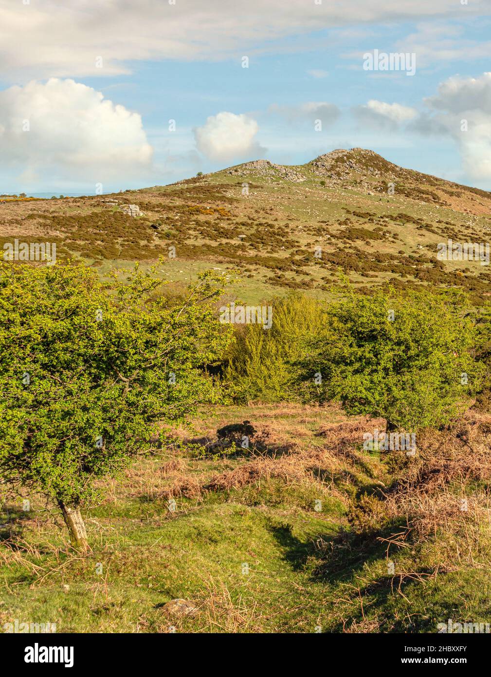 Landscape at the Dartmoor National Park, Devon, England, UK Stock Photo ...