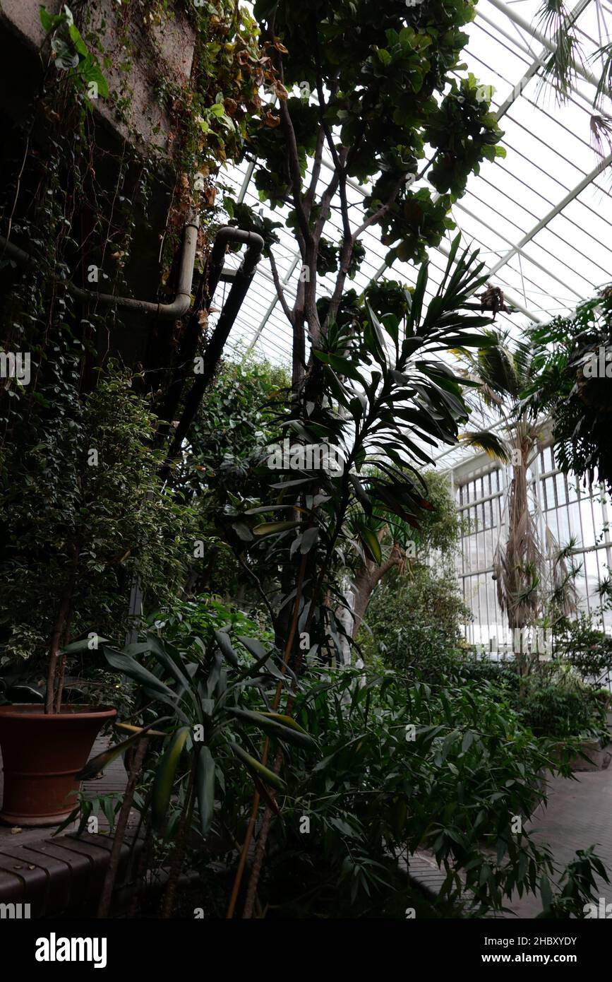 Explore the Conservatory under a magical cloud of Akari light ...