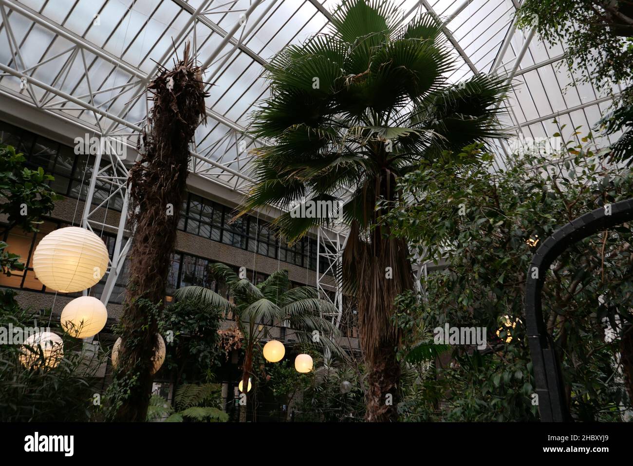Explore the Conservatory under a magical cloud of Akari light ...