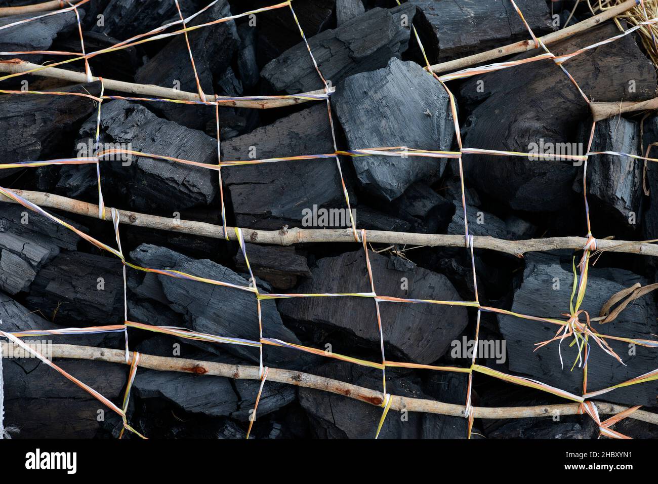 ZAMBIA, Sinazongwe District, deforestation, villagers sell charcoal ...