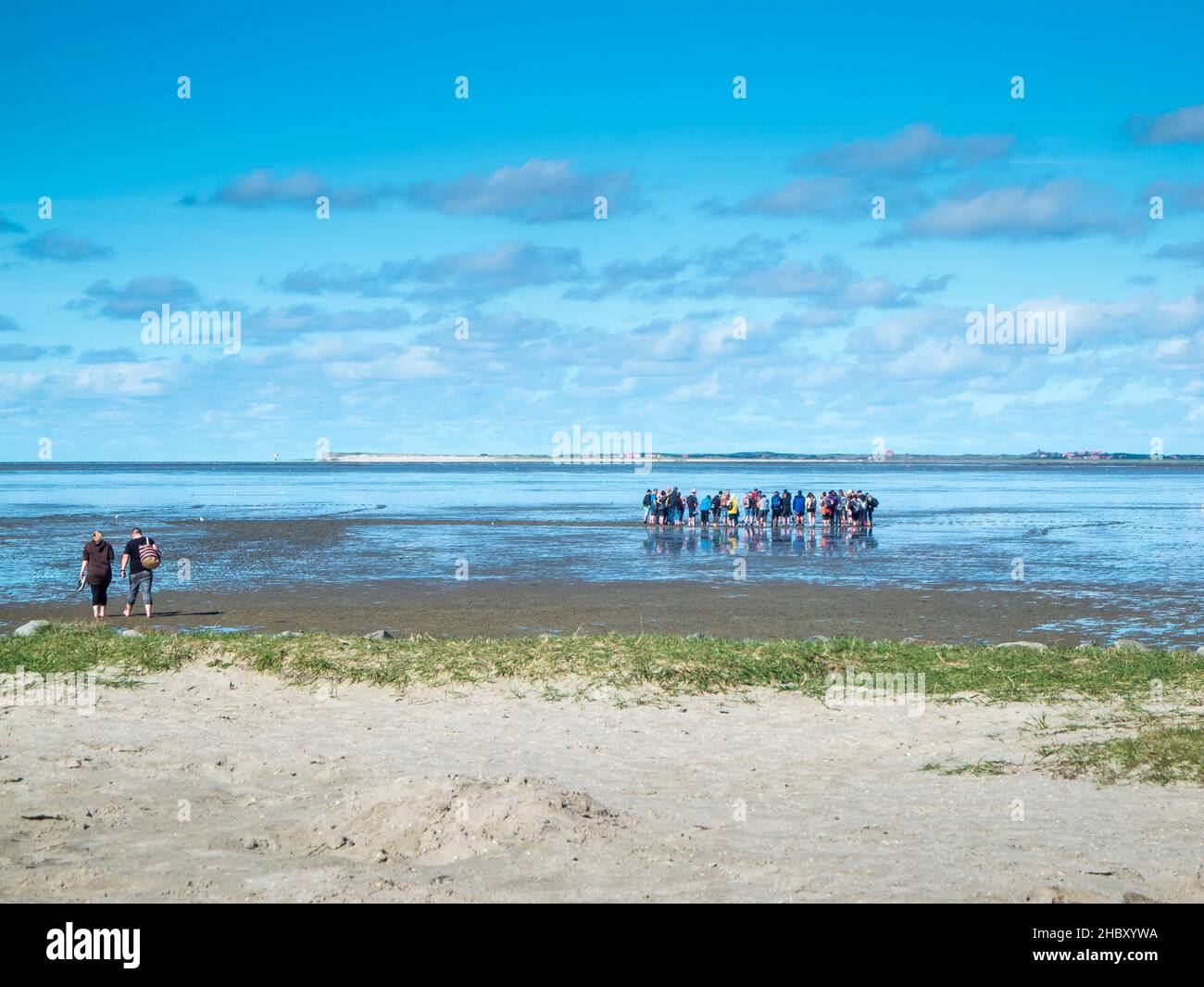 Landscape view of the North German Wadden Sea at low tide with a guided ...