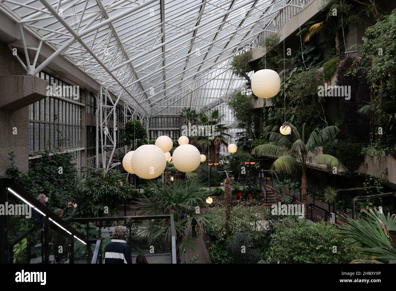 Explore the Conservatory under a magical cloud of Akari light ...