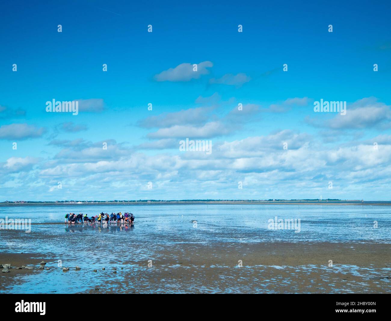 Landscape view of the North German Wadden Sea at low tide with a guided ...