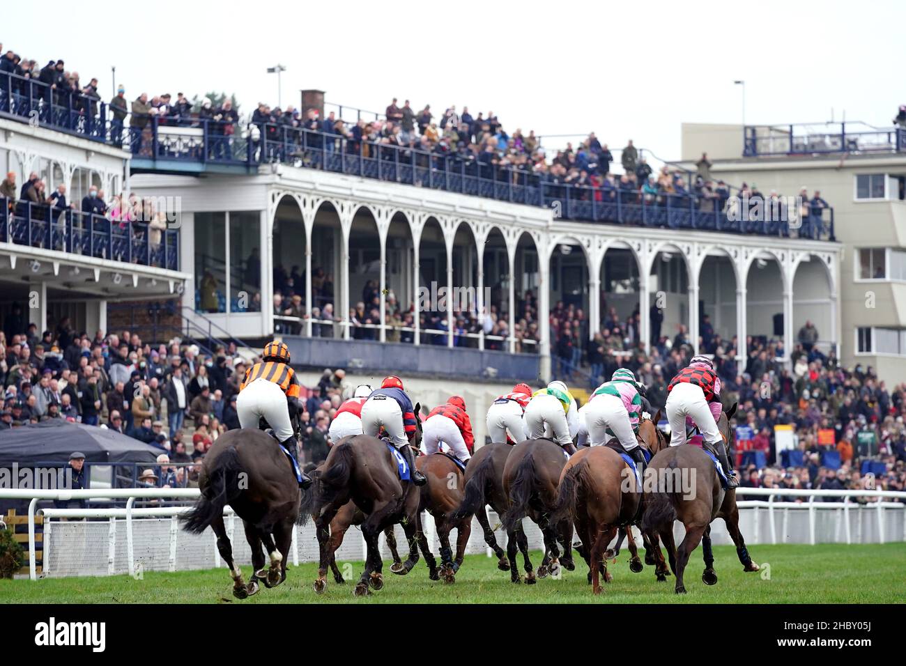 Horse racing crowd female races watch view stands hi-res stock ...
