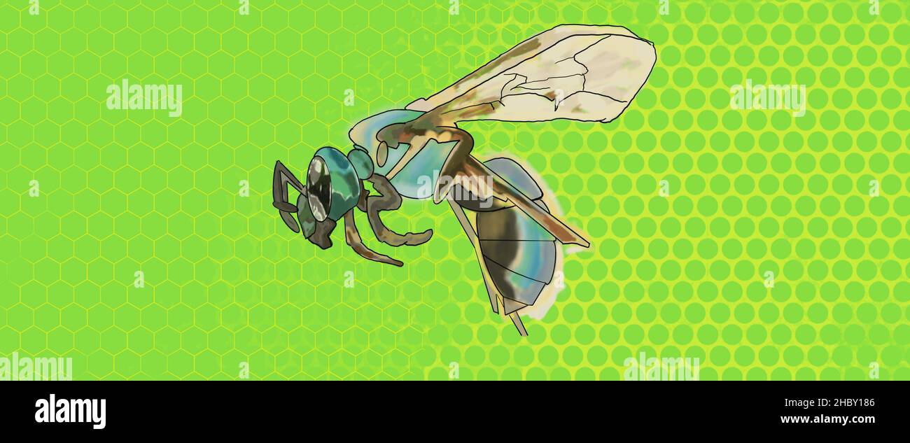 Chroma bug background hi-res stock photography and images - Alamy