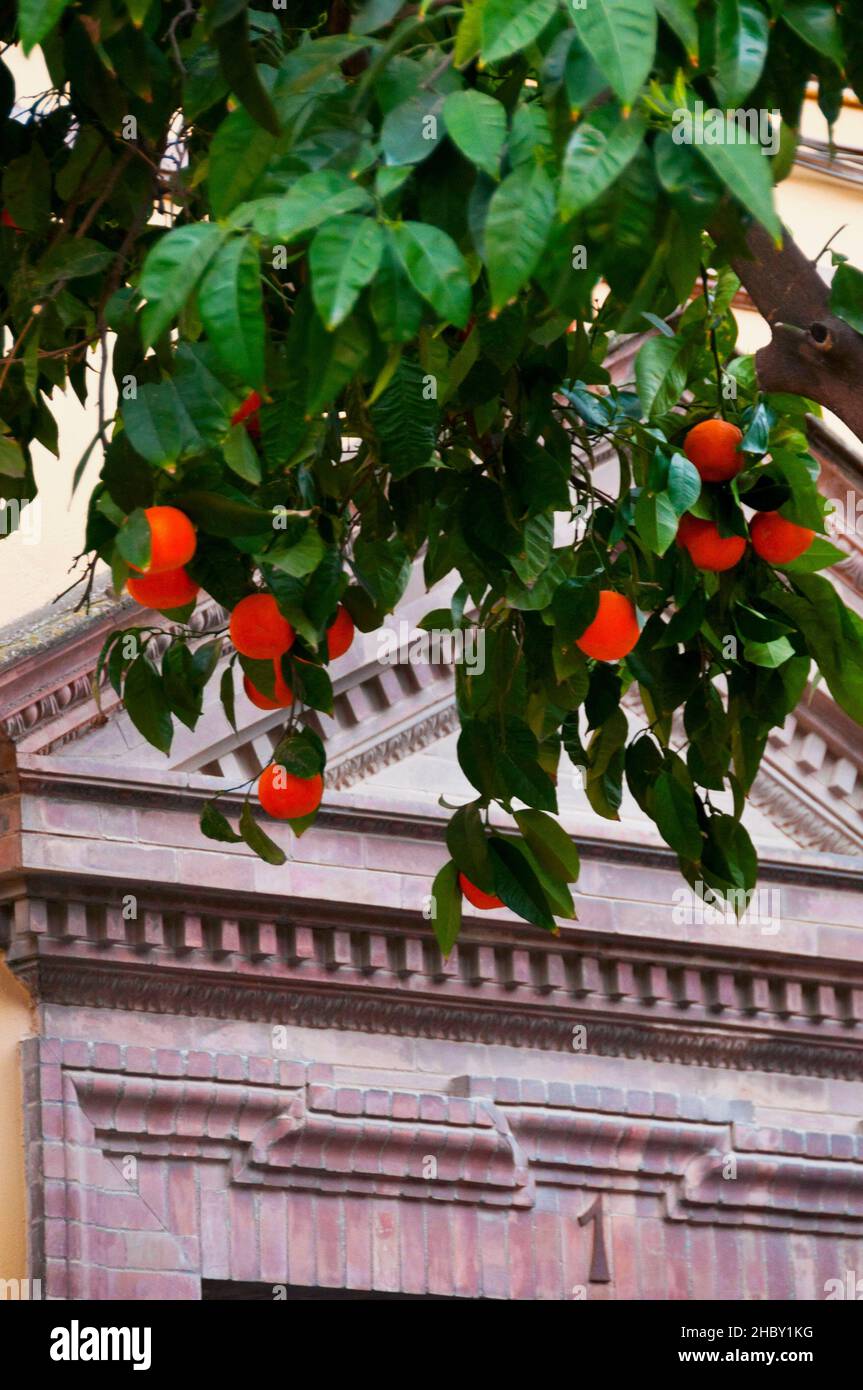 Classic triangle pediment in Seville, Spain Stock Photo - Alamy