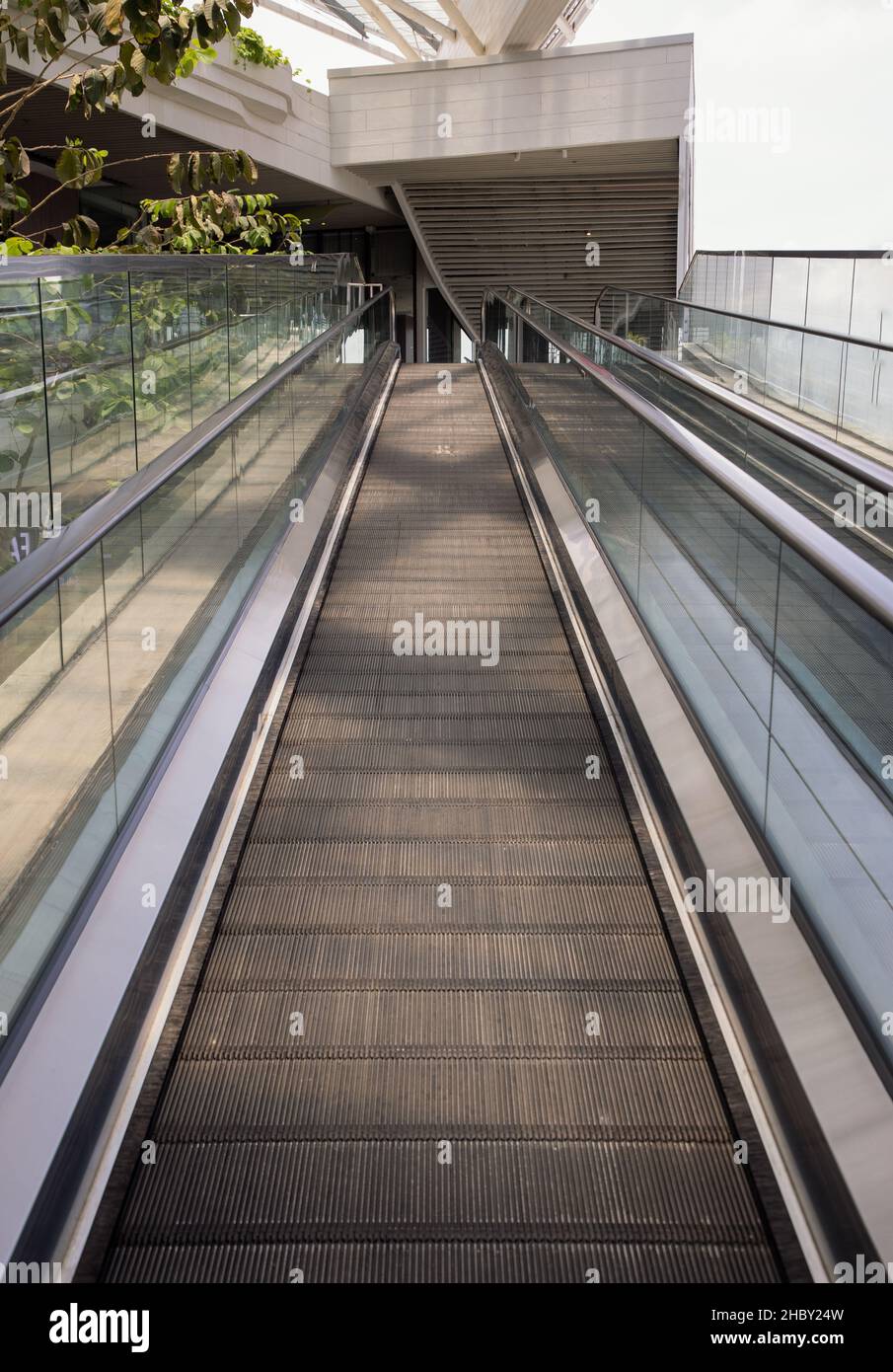 Modern escalator staircase and Decoration. Perspective View of ...