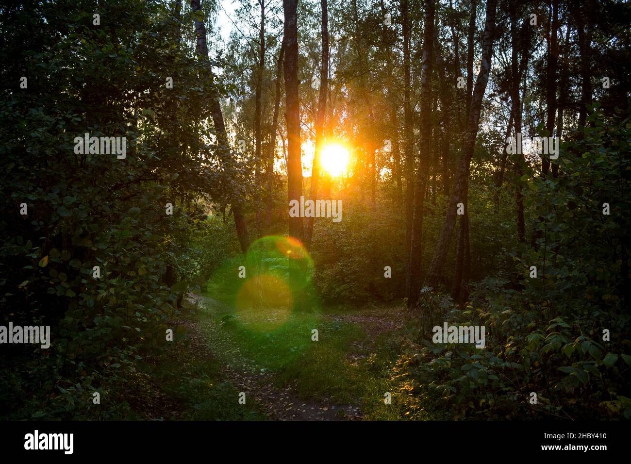 Optical flare hi-res stock photography and images - Alamy