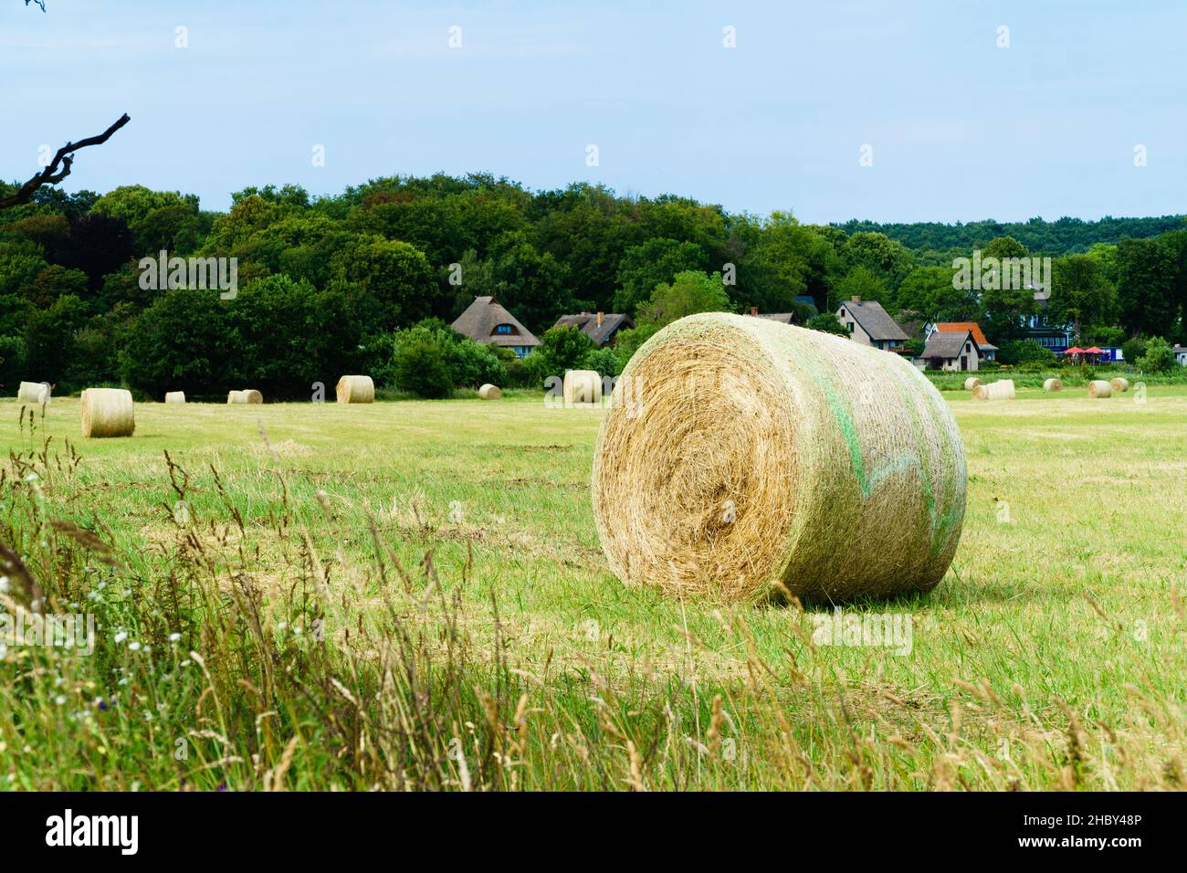A view of the hay ball in the field in Strausland Stock Photo - Alamy