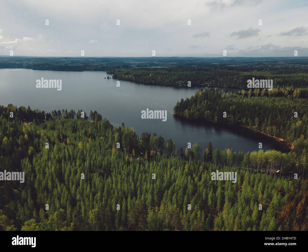 An aerial view of the beautiful Nordic Lake and forests in Finland ...