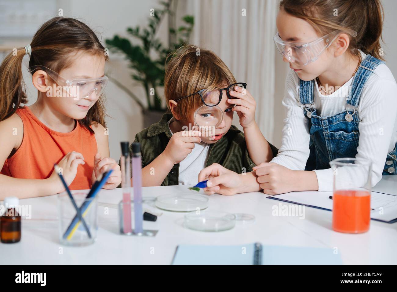 Amusing kids doing home science project, looking at leaf in tweezers ...