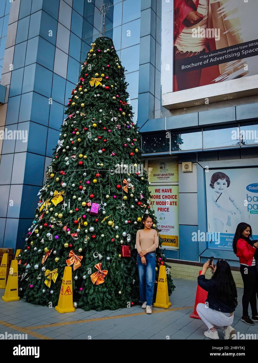 Nepal Christmas Trees Christmas Day Today