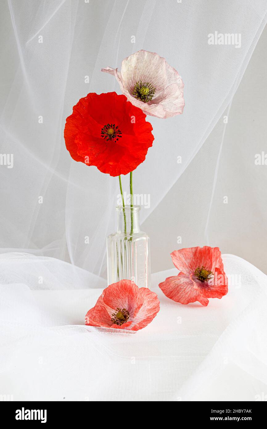 Portrait vase hi-res stock photography and images - Alamy