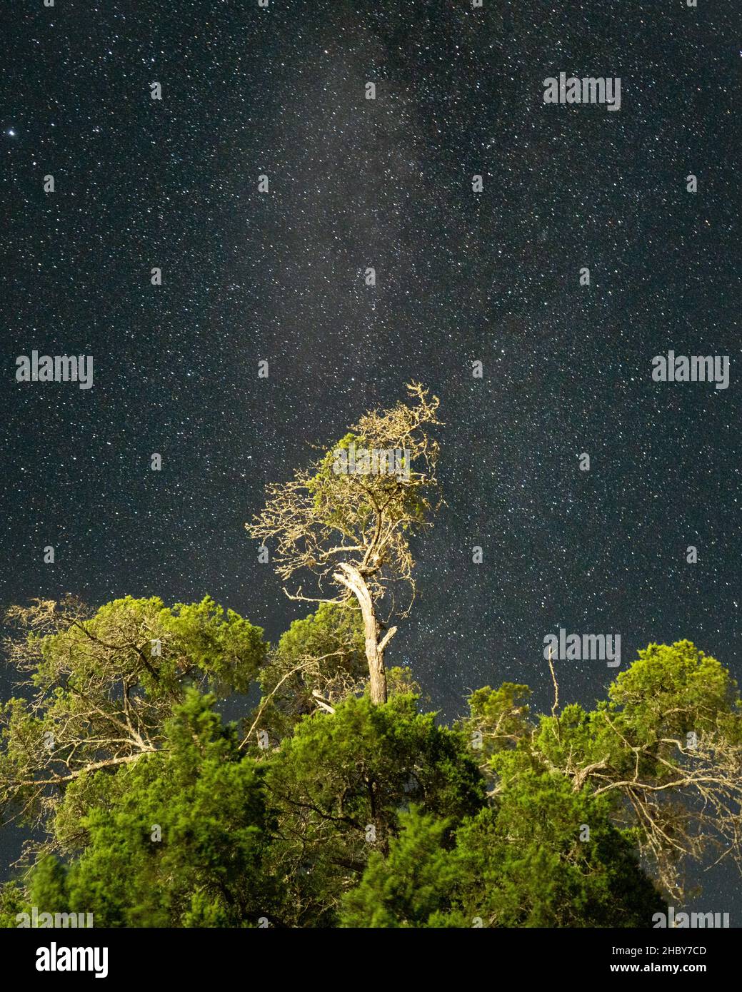 A vertical shot of the Milky Way at night. Beautiful starry sky Stock ...