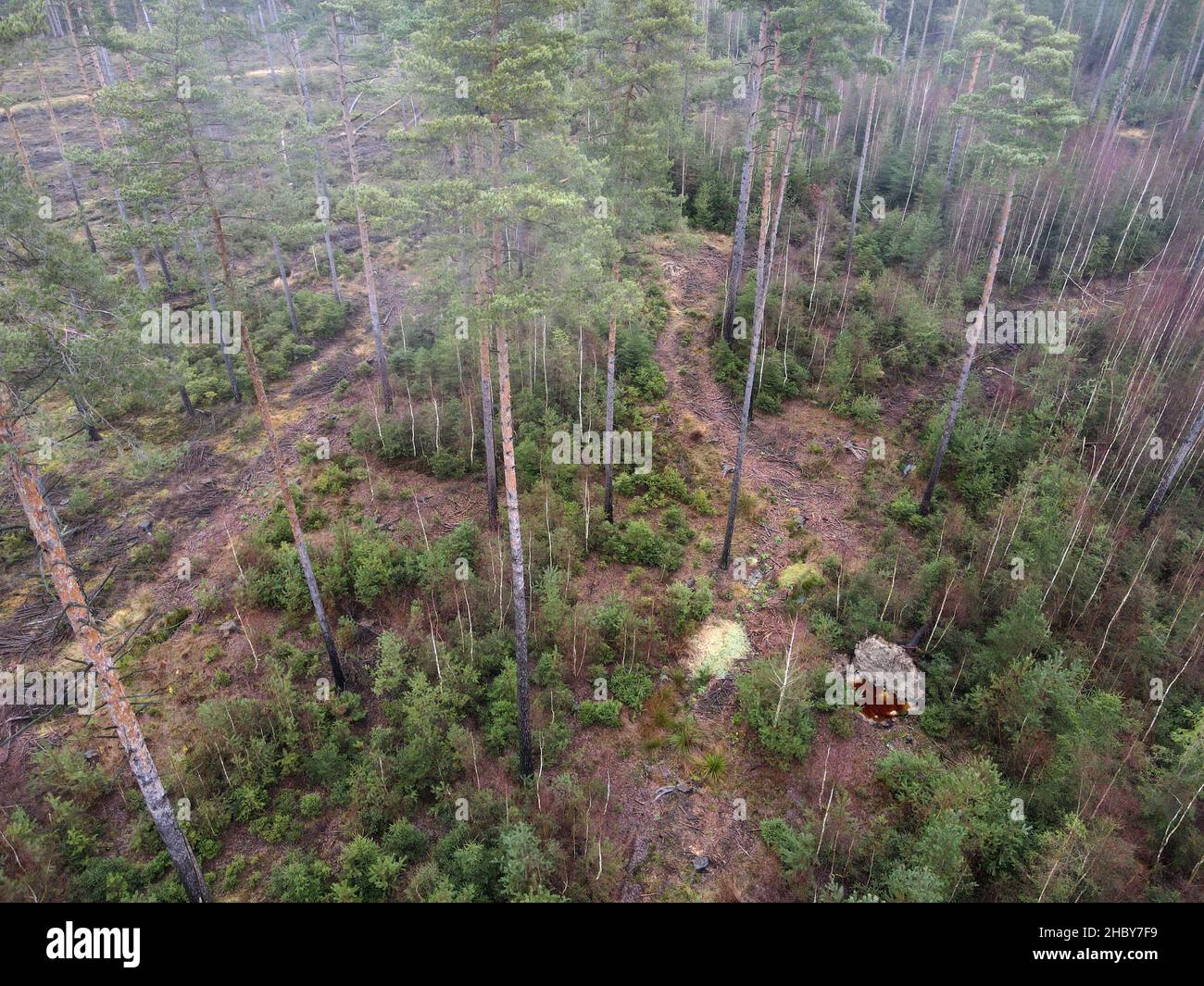 Arnsgrun hi-res stock photography and images - Alamy