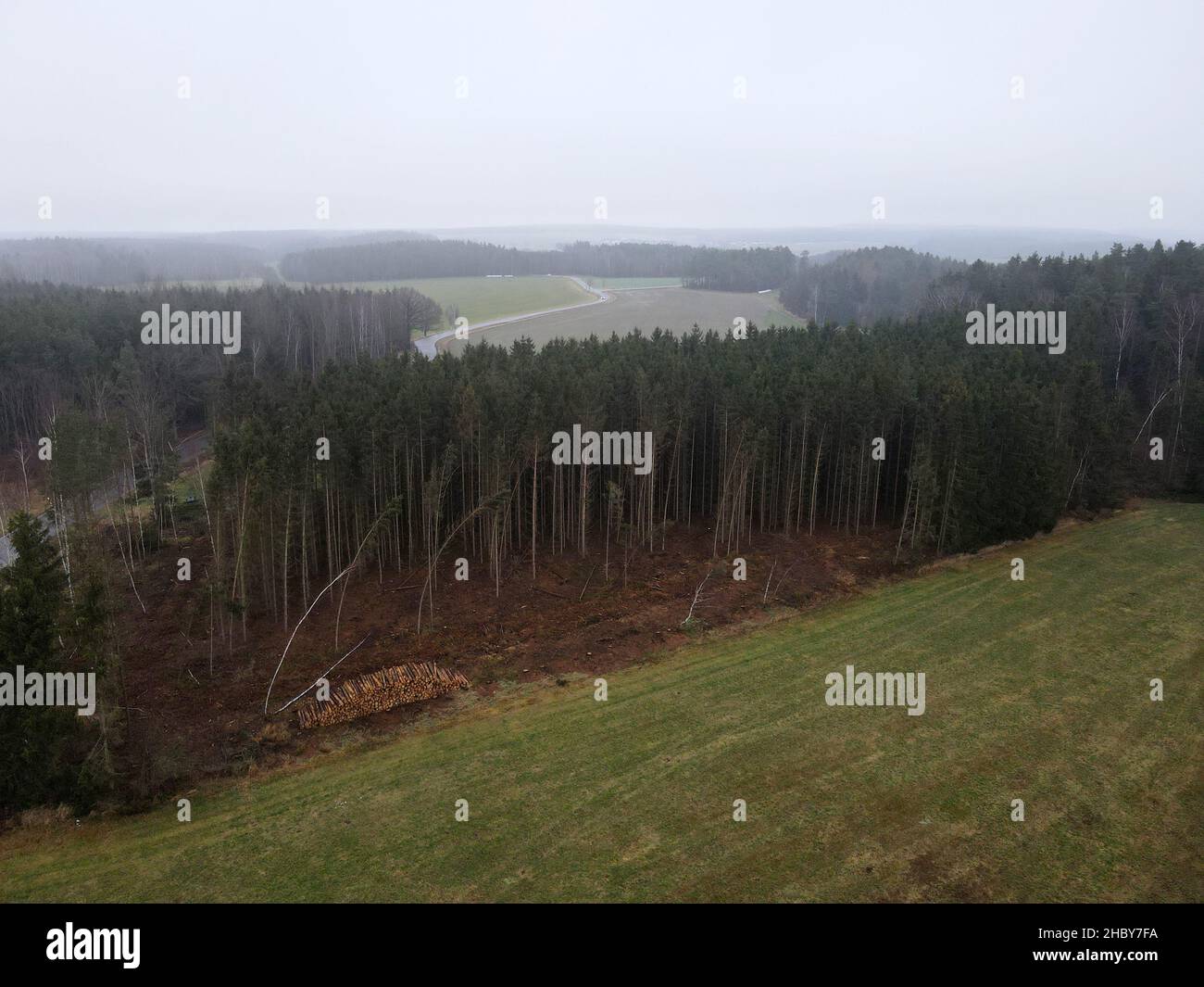 01 January 1970, Thuringia, Arnsgrün: Partially afforested forest ...