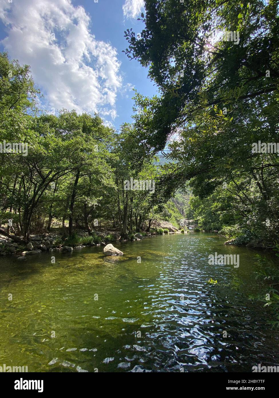 River Chassezac, trees and blue sky, during summertime Stock Photo - Alamy