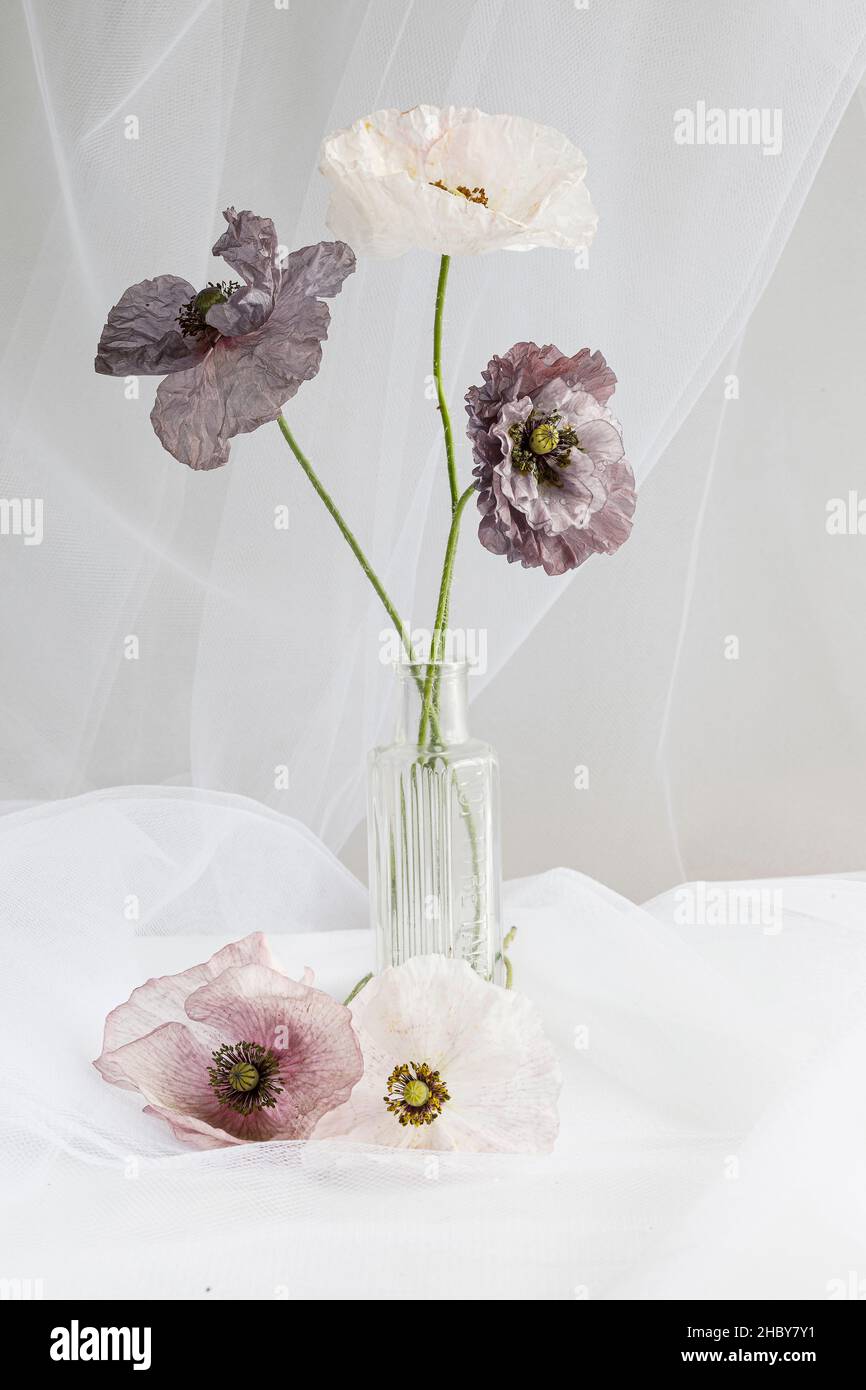 Poppies in vase hi-res stock photography and images - Alamy