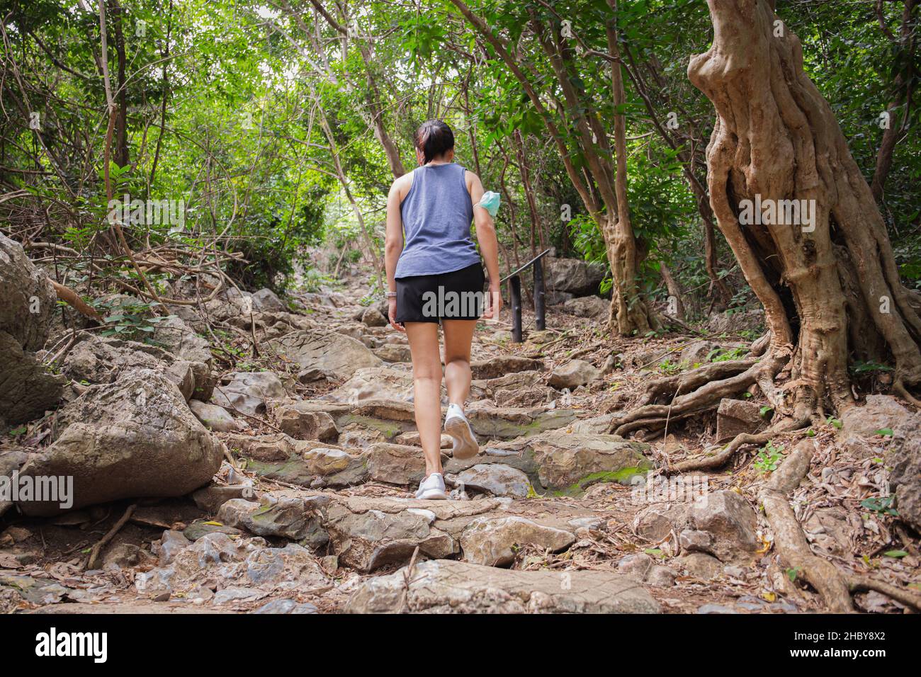 Forest hike trail hiker woman exercise walking in nature stone forest ...