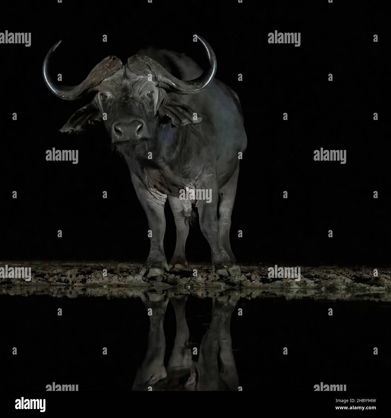 Dagga hi-res stock photography and images - Alamy