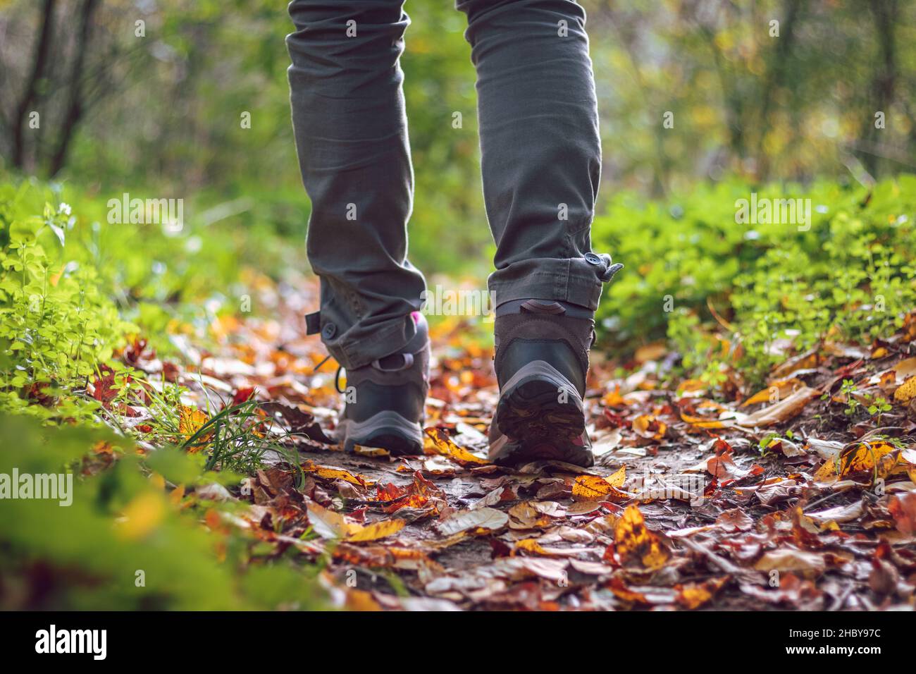 Woman is wearing hiking boot and walking on footpath in forest at ...