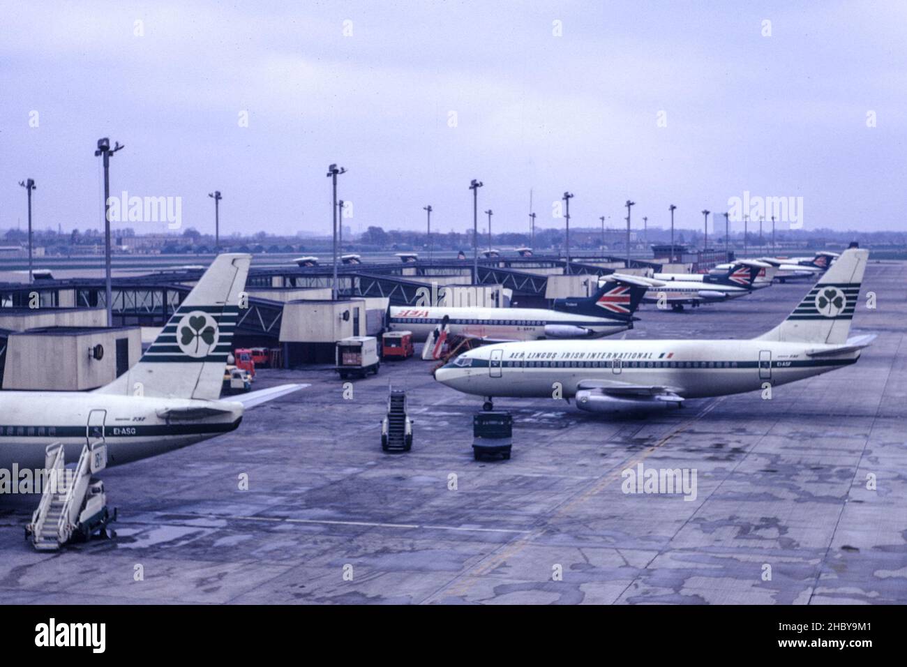 Aer Lingus Boeing 737 at Heathrow Airport Stock Photo - Alamy