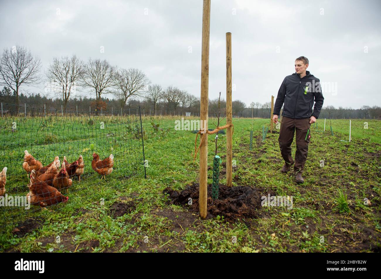 Kropp, Germany. 15th Dec, 2021. Hauke Sierck, farmer, walks along a row ...