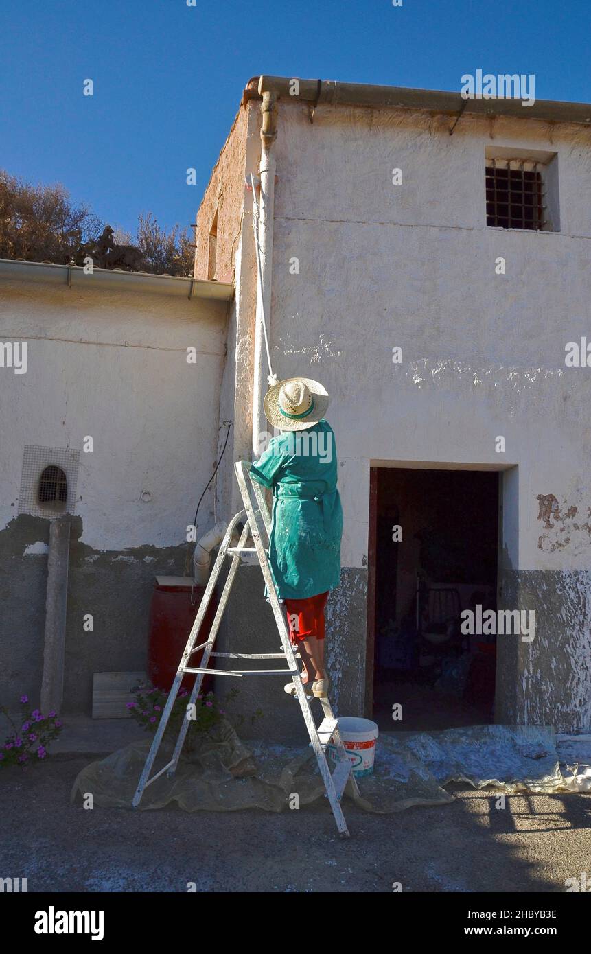 Woman on ladder painting her house, woman with straw hat on ladder ...
