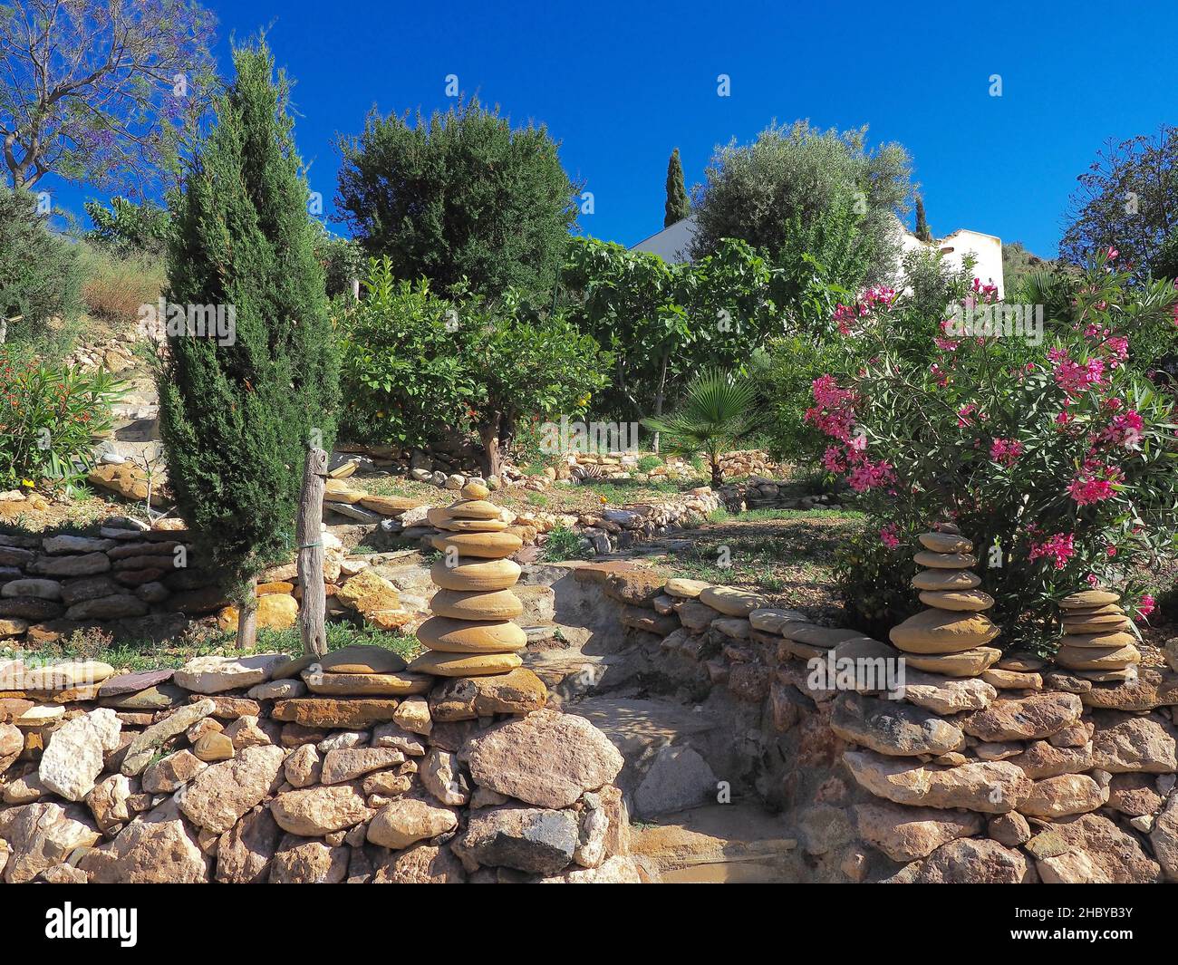 Flowering rock garden with cypress and olive trees, Andalusia, Spain ...