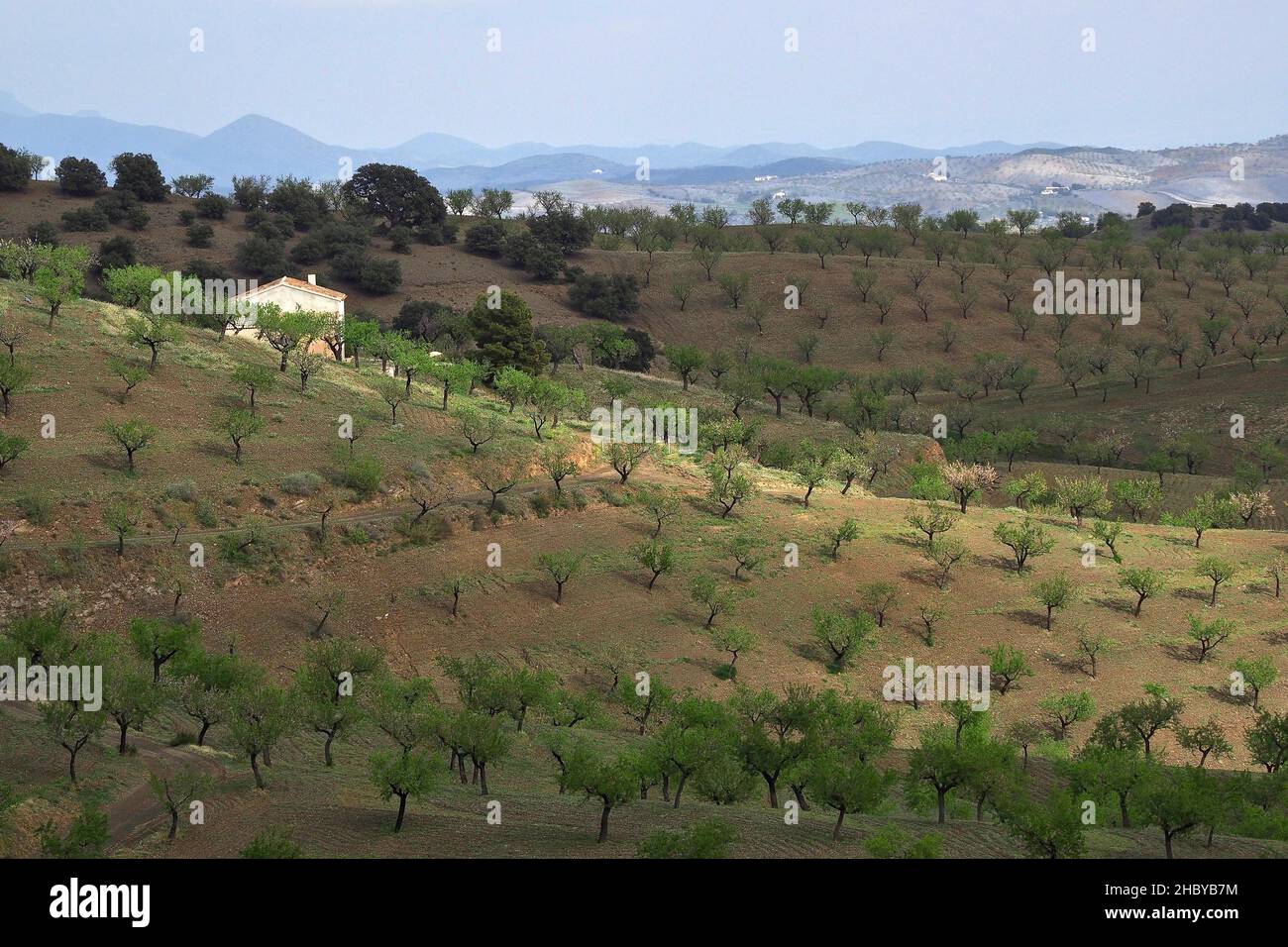Rubio house hi-res stock photography and images - Alamy