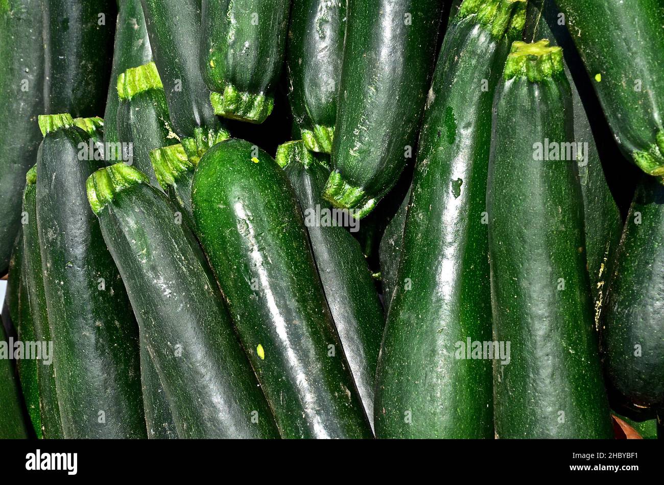 Many courgettes in supervision, from above Stock Photo - Alamy