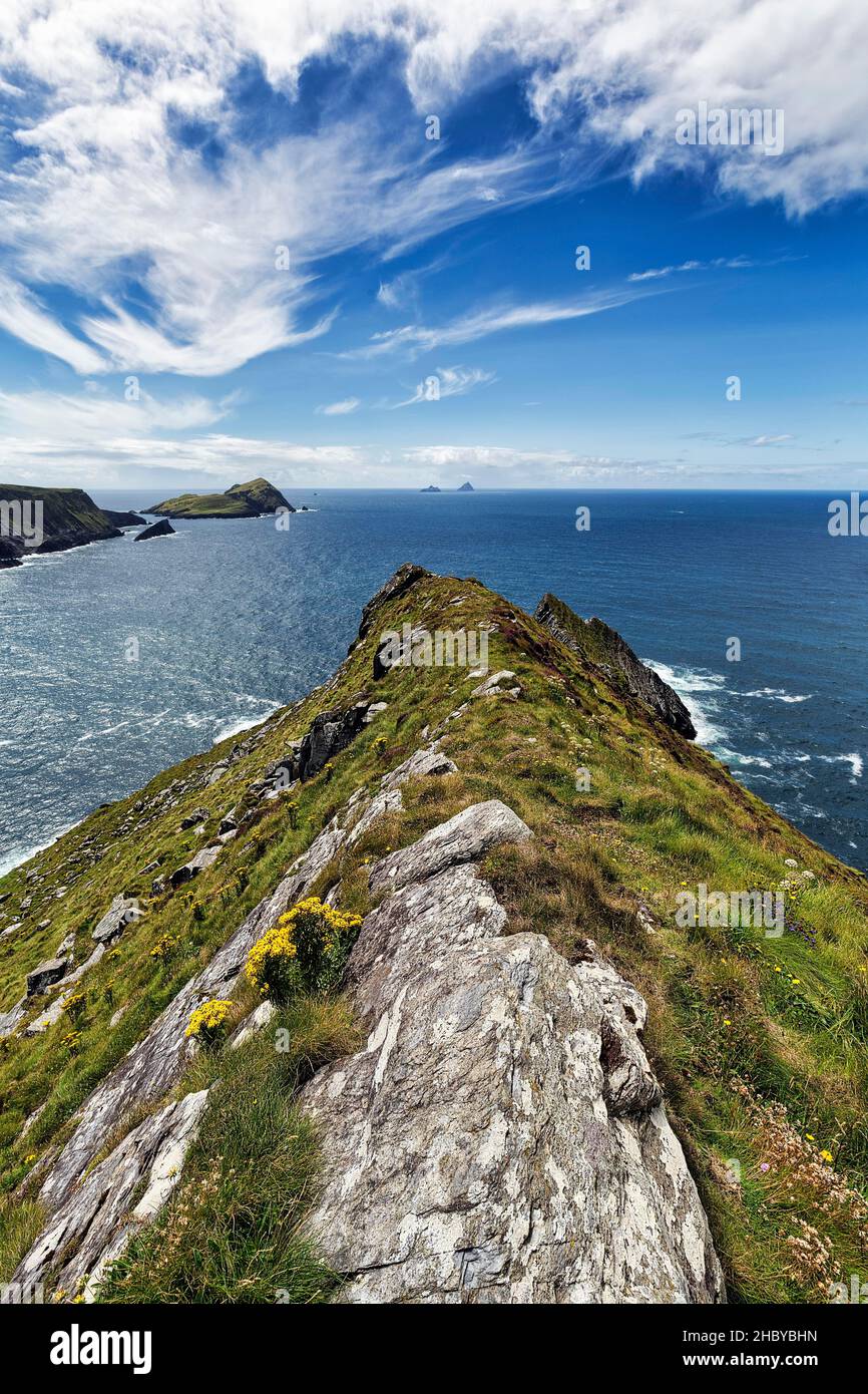 Cliffs with view of the Skellig Islands on the horizon, Kerry Cliffs ...
