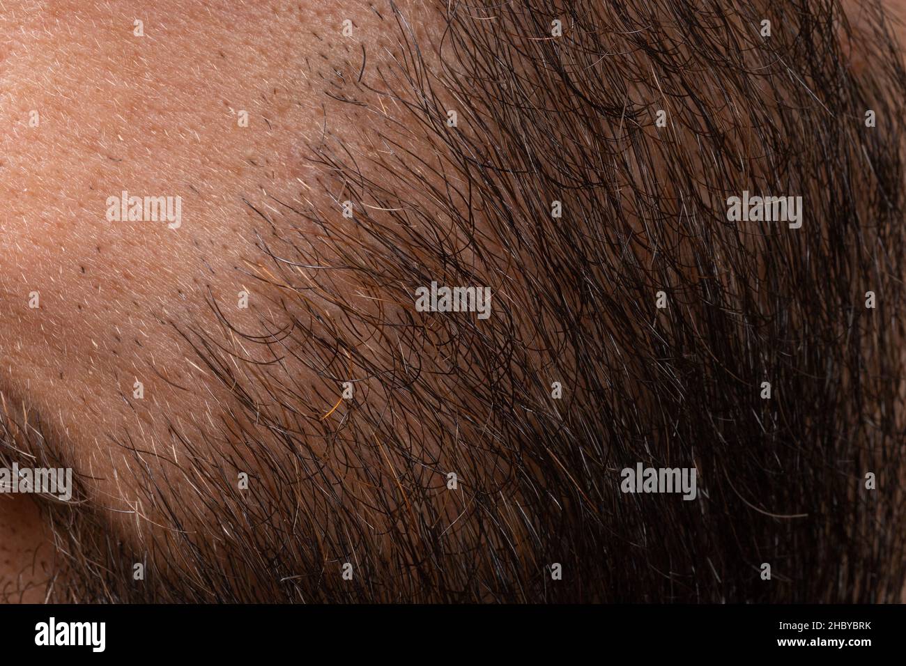 macro thick black beard of man, cheek skin, unshaven face close-up ...