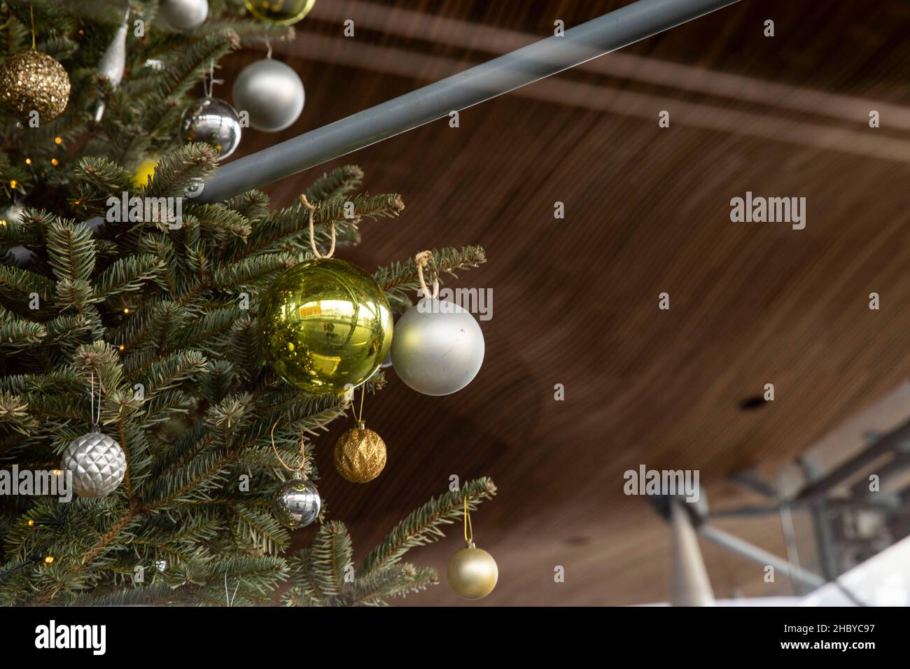 Tree mark drakeford hi-res stock photography and images - Alamy
