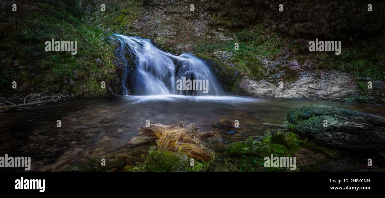 A view of a beautiful small waterfall in the forest Stock Photo - Alamy