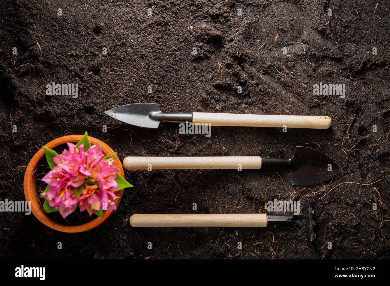 Rake and spades transplanting Tools with top view background. Home ...