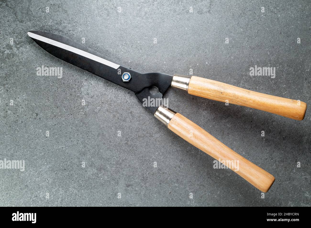 Pruning shears tool for cut your plant.Scissors for trim leaf equipment ...