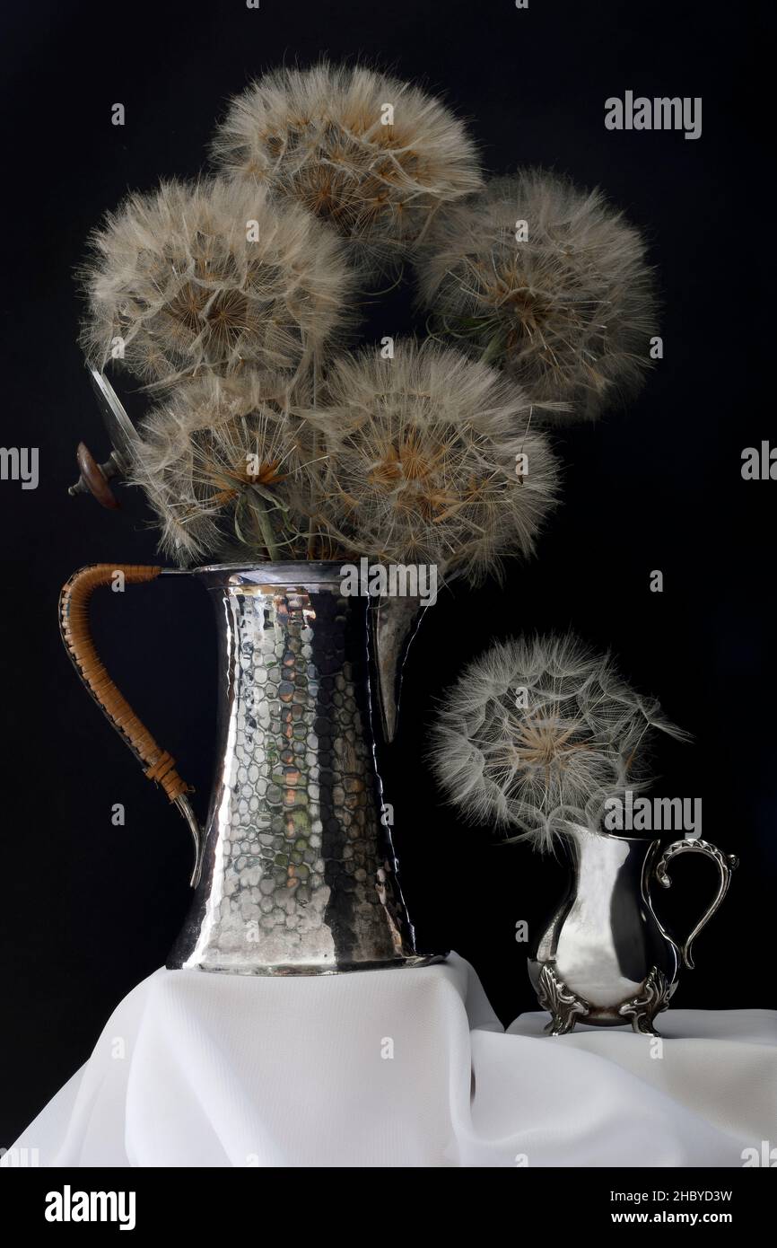 still life seed heads Stock Photo - Alamy