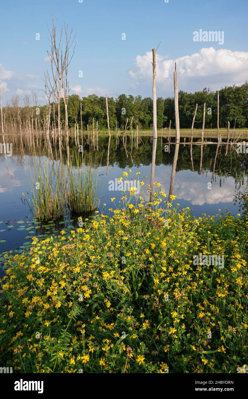 Mining subsidence hi-res stock photography and images - Alamy